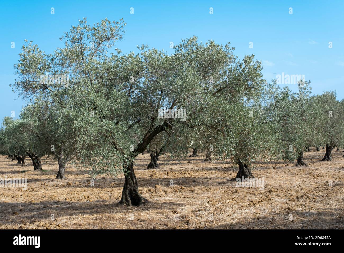 Miraculous background hi-res stock photography and images - Alamy