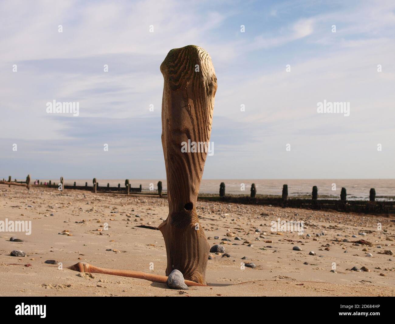 Wooden Groin post worn by the sea and weather Stock Photo - Alamy