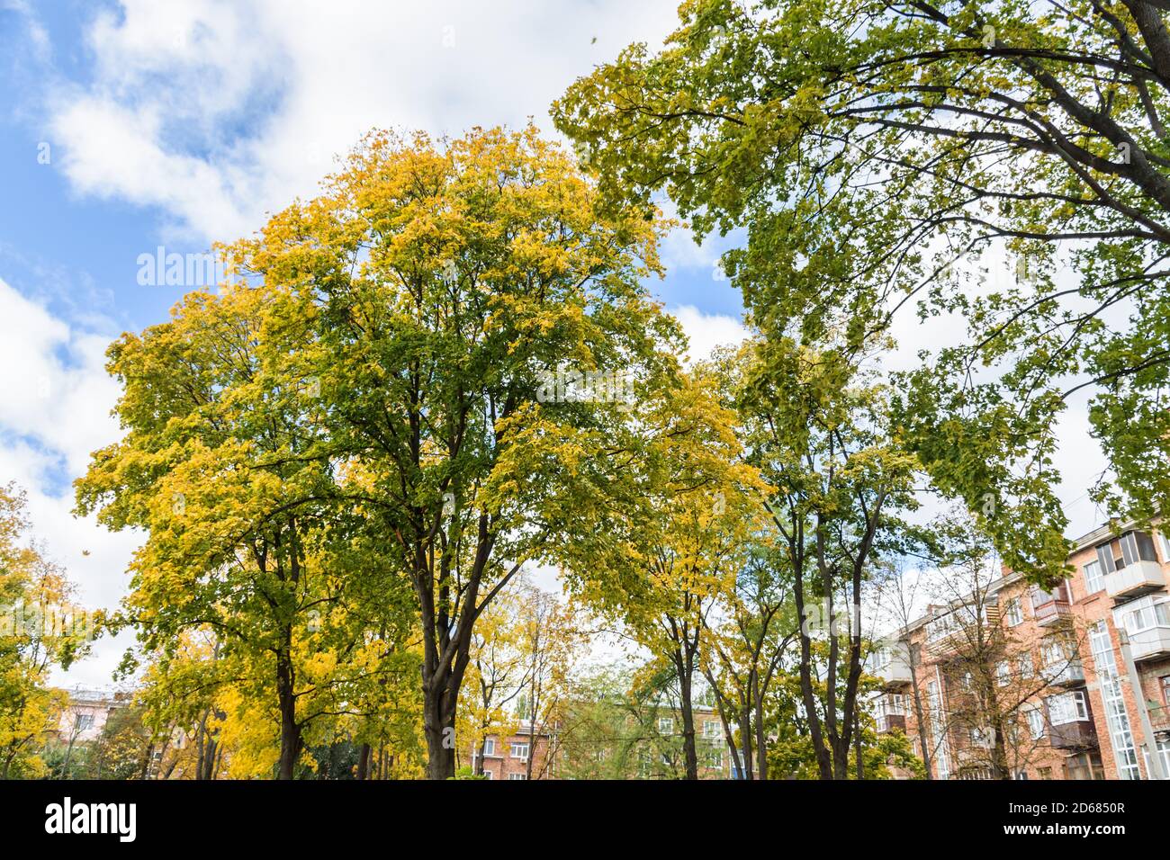In the courtyard of stalinka building. Orange and green trees, Ukraine ...