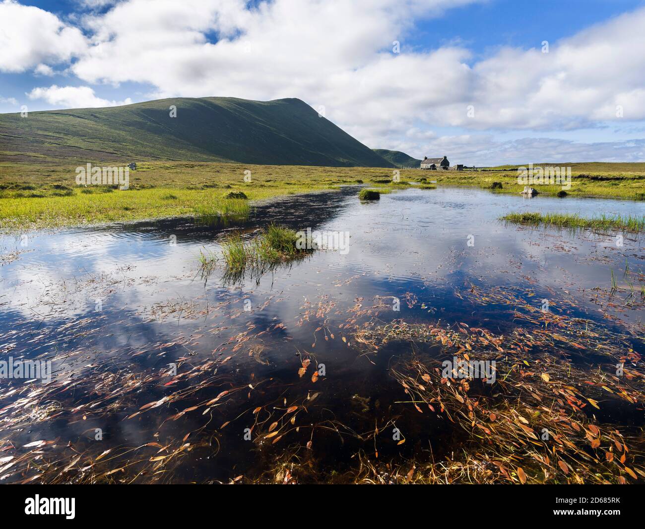 Foula shetland islands hi-res stock photography and images - Alamy