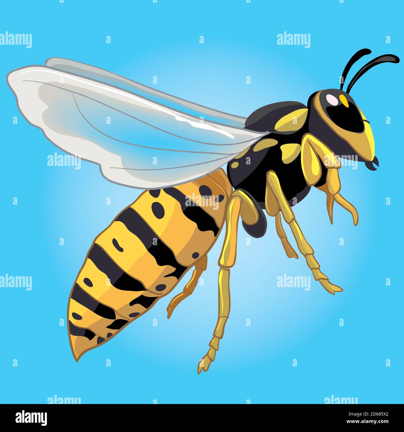 Wasp fly in sky hi-res stock photography and images - Alamy