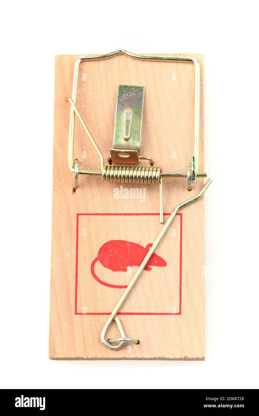 new mouse trap isolated on the white background Stock Photo - Alamy