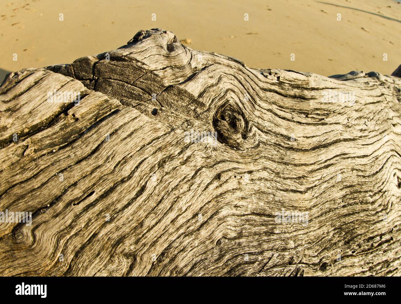 Old piece of wood at the beach in thailand in summer Stock Photo - Alamy