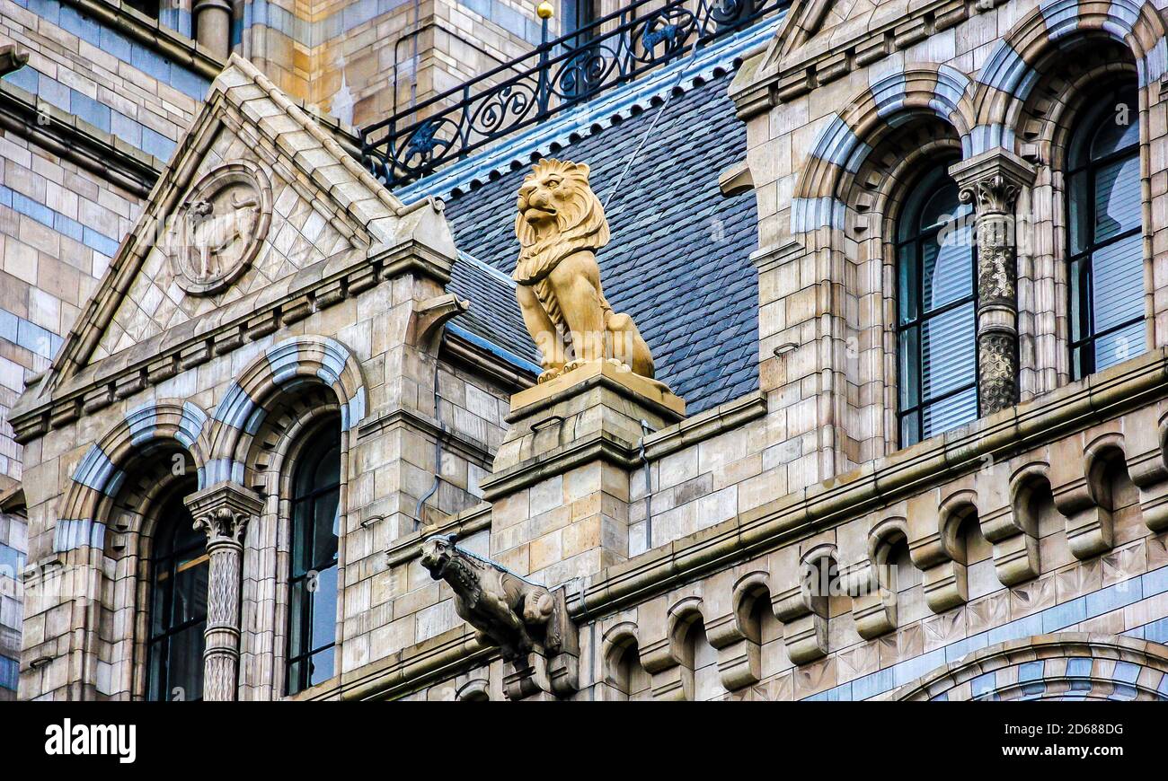 Sculpture of lion on Natural History Museum in London. London, UK Stock ...