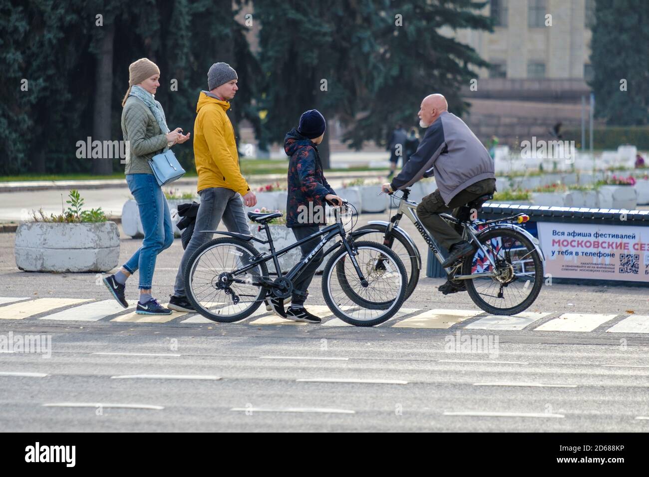 Zebra walk cycle hi-res stock photography and images - Alamy