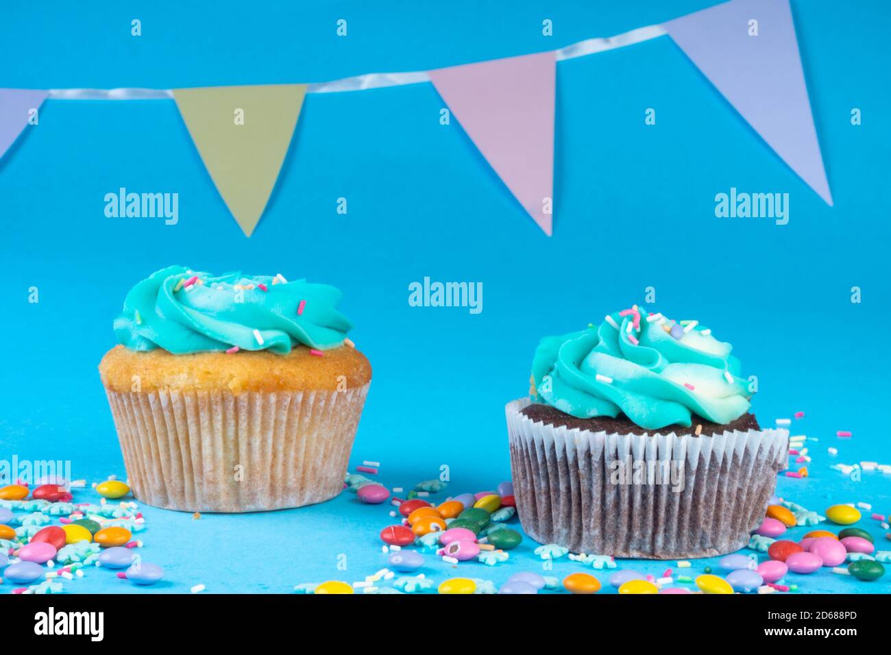Gourmet chocolate and vanilla cupcakes topped with blue buttercream frosting, decorated with ...