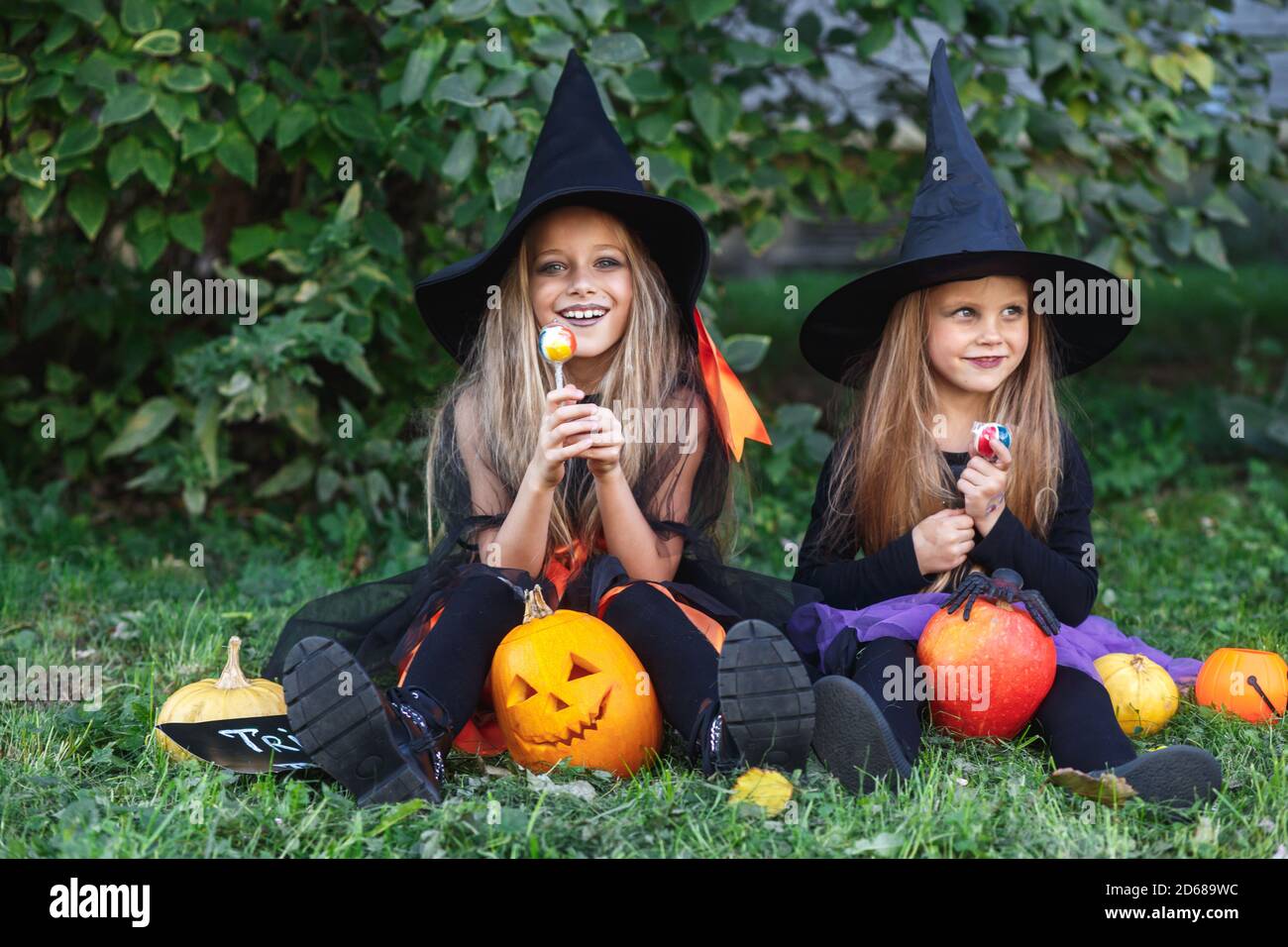 Two funny little girls in witch costumes eating Halloween candy Stock ...