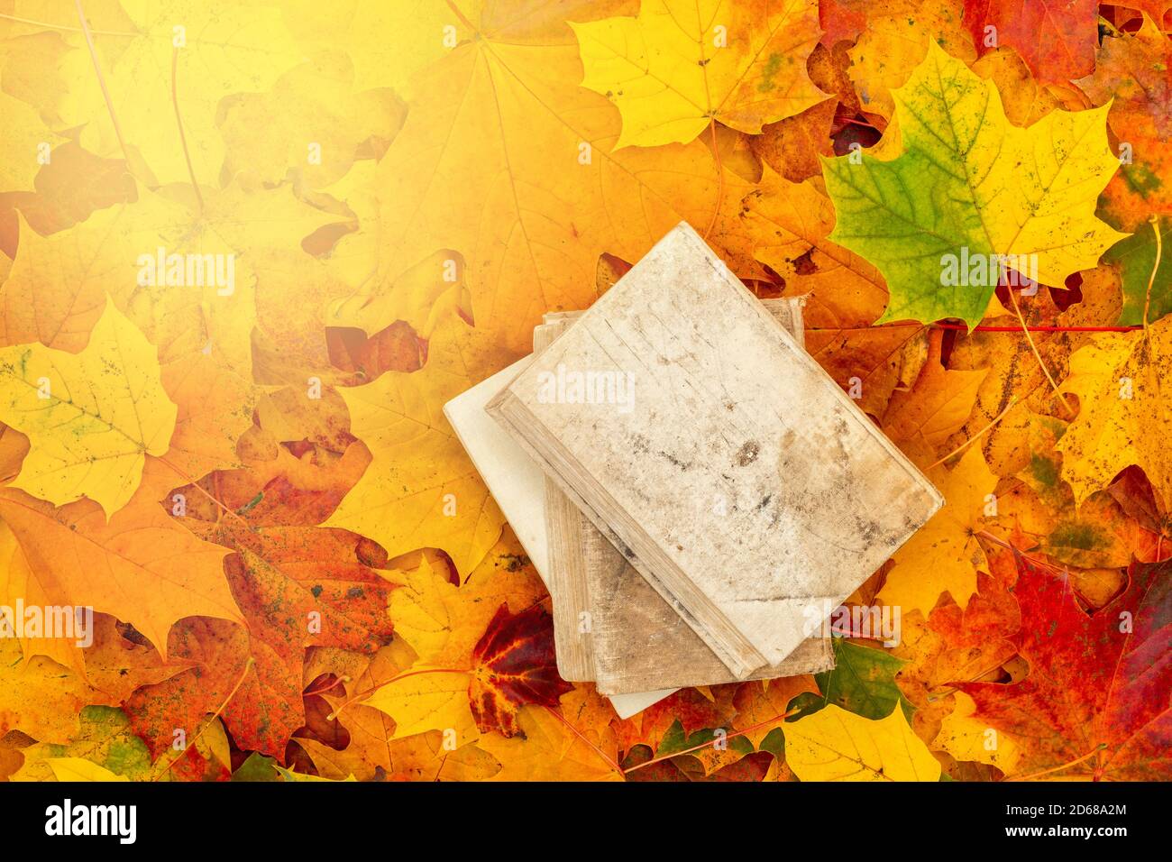 Stack of books with colorful autumn leaves - seasonal relax concept ...