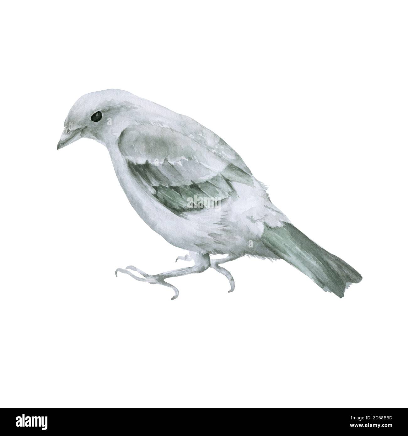 Flying cartoon bird silhouette hi-res stock photography and images - Alamy