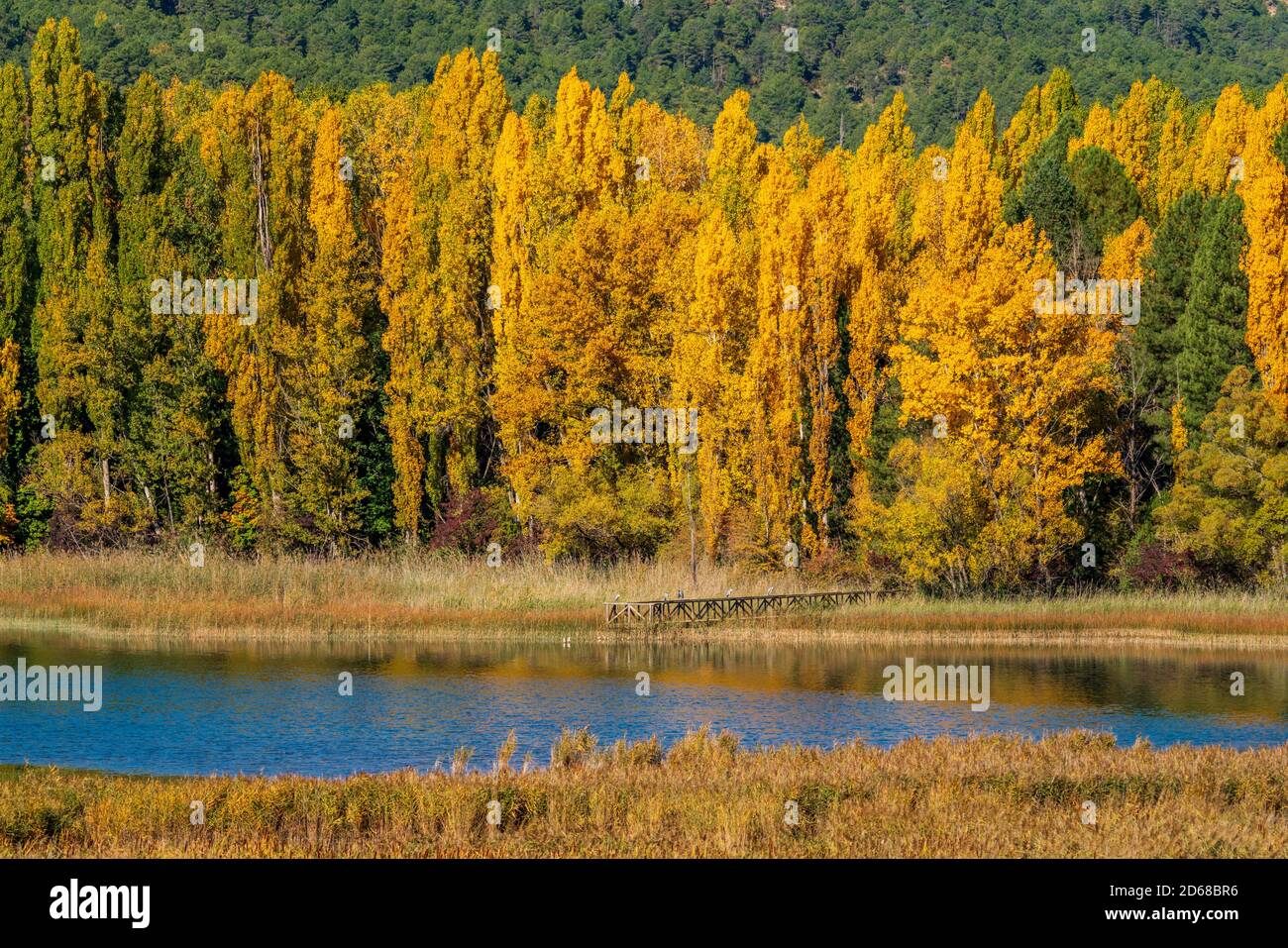 Autumn colors wooden viewpoint hi-res stock photography and images - Alamy