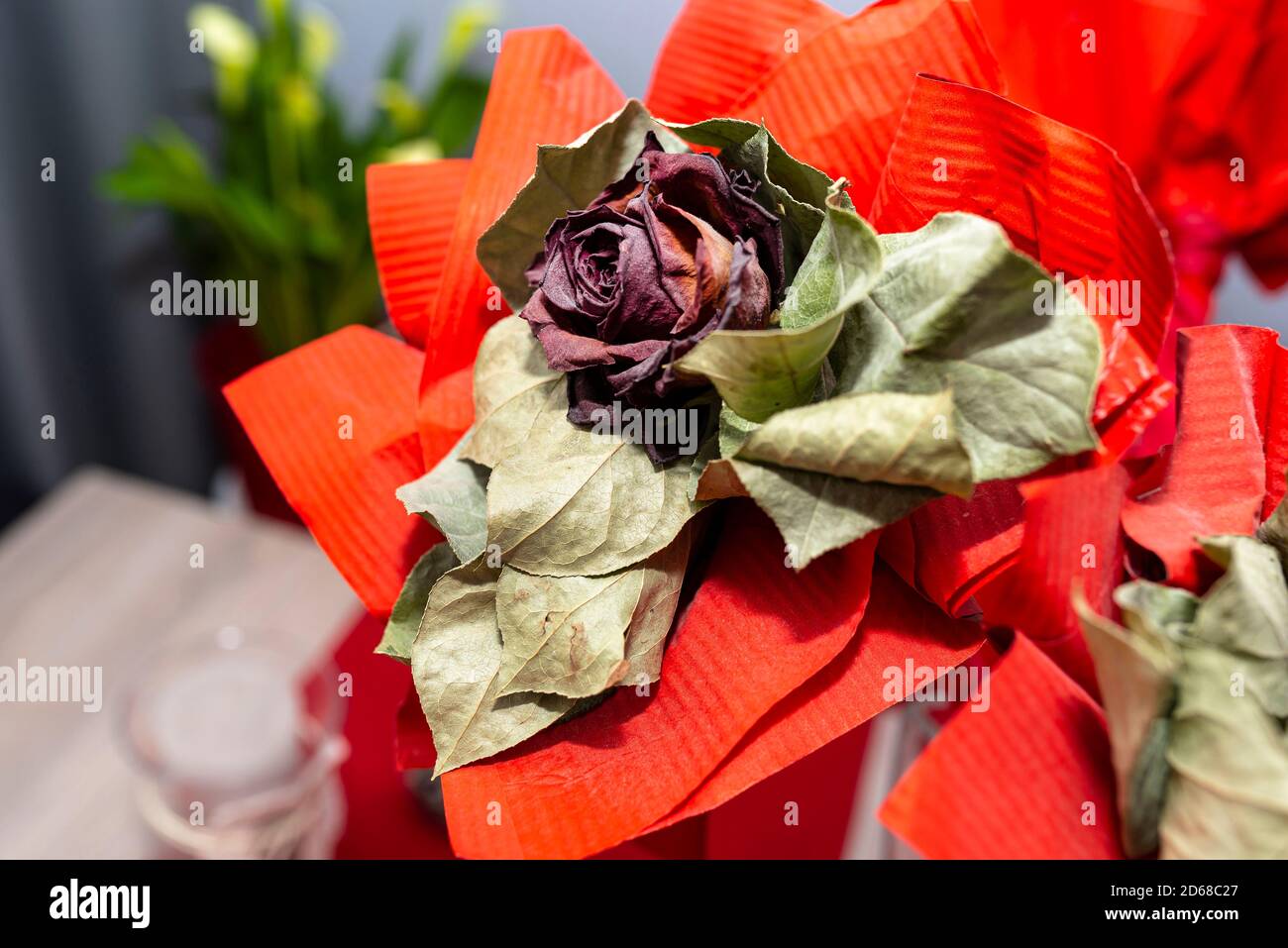 A withered red rose with a large red ribbon standing on a table in a ...