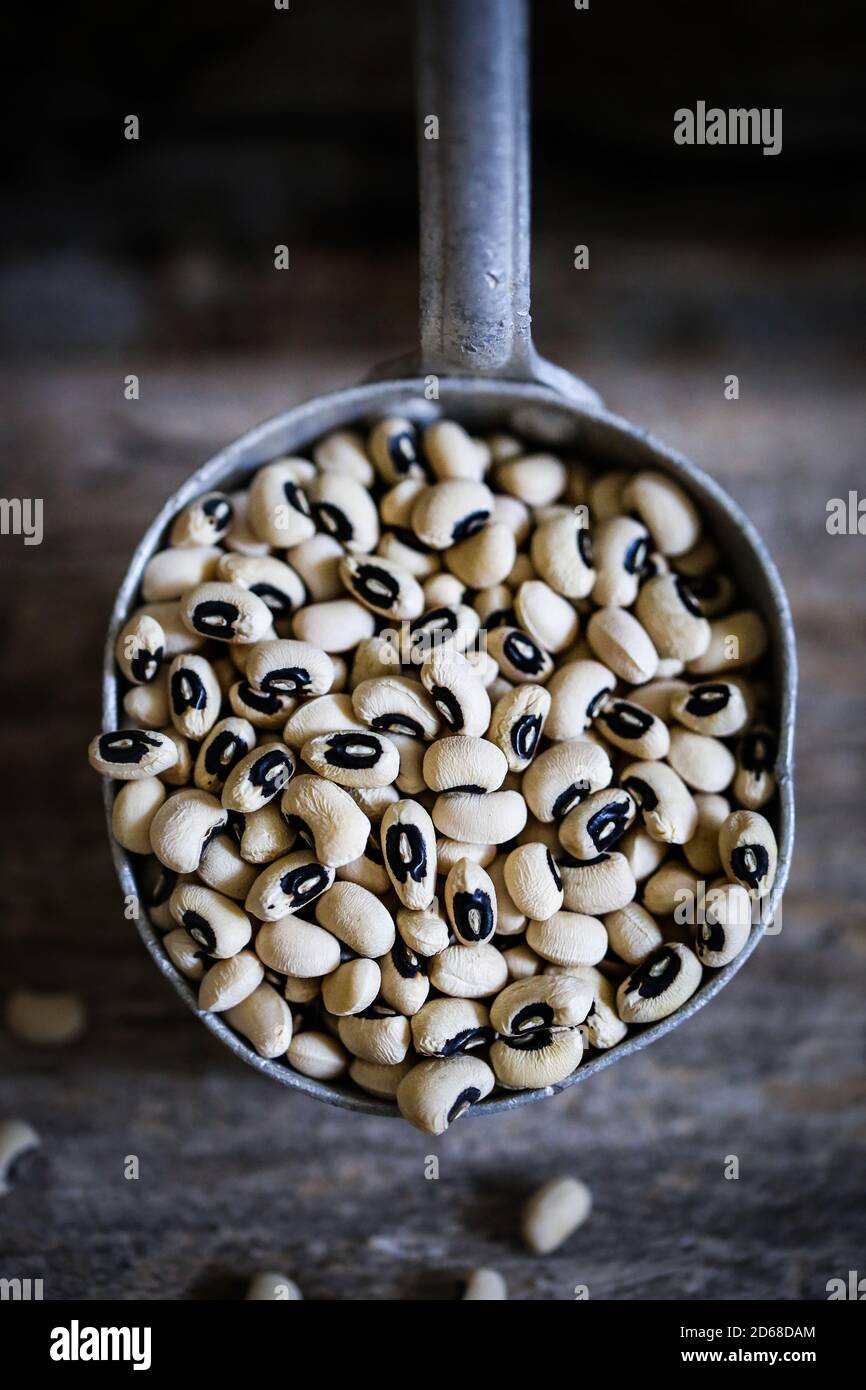 Dried Cowpea - Black-eyed peas Stock Photo - Alamy