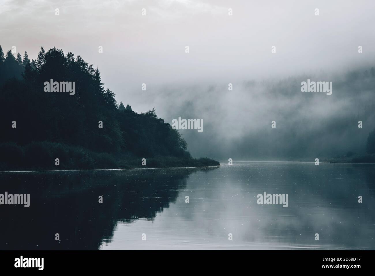 Misty landscape fir forest hi-res stock photography and images - Alamy