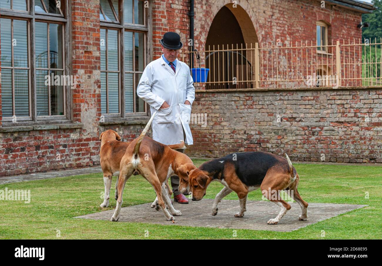 The Belvoir Hunt Kennels, Belvoir, Grantham, Lincolnshire, UK – The ...