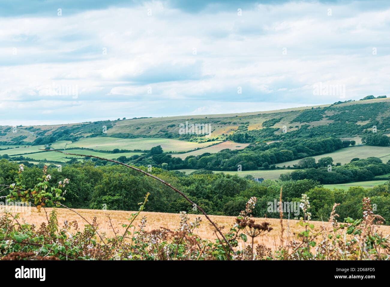 Beautiful landmark of Devonshire farmlands, far distance view for trees ...