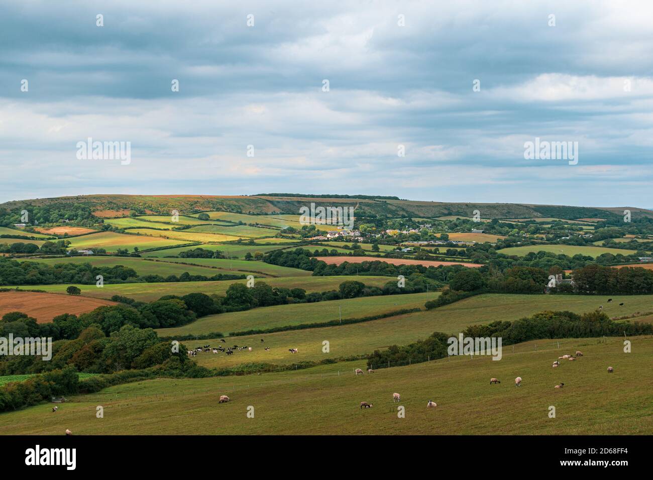 Beautiful landmark of Devonshire farmlands, far distance view for trees ...