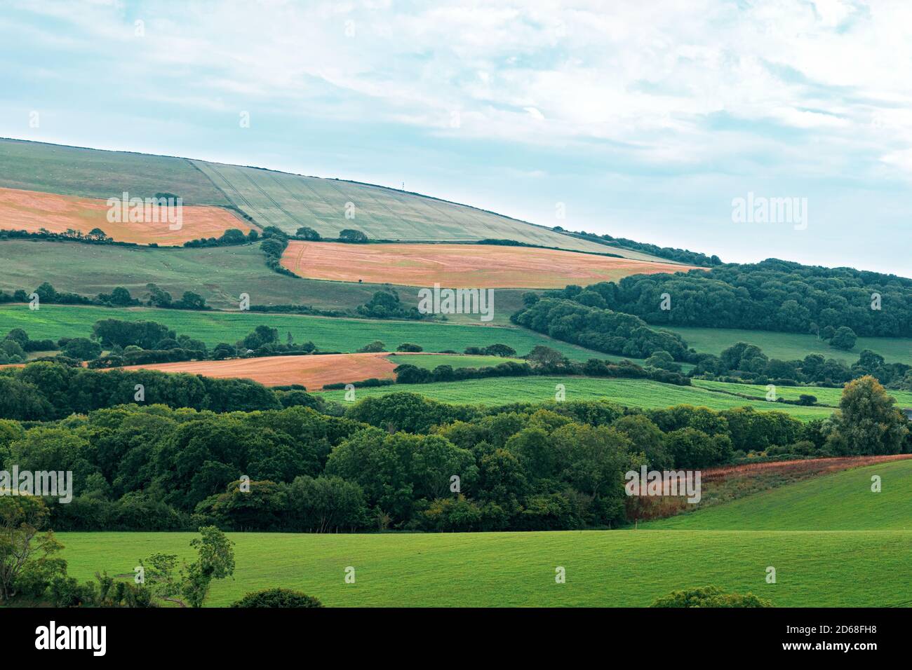 Beautiful landmark of Devonshire farmlands, far distance view for trees ...