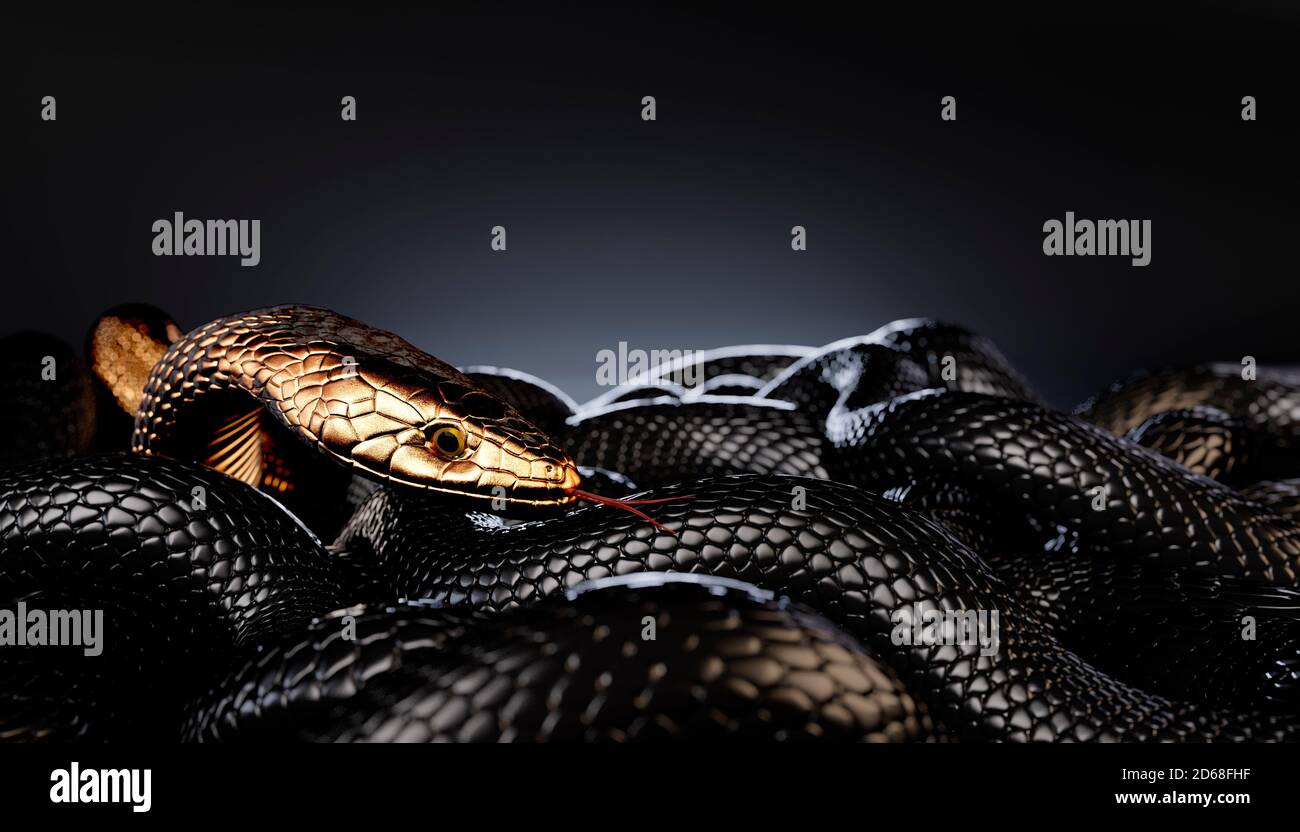 Mating Snakes High Resolution Stock Photography and Images - Alamy