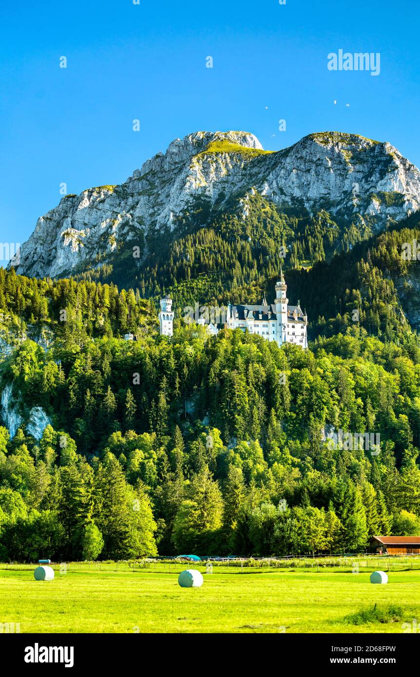 Neuschwanstein Castle with paragliders and hay bales. Germany Stock ...