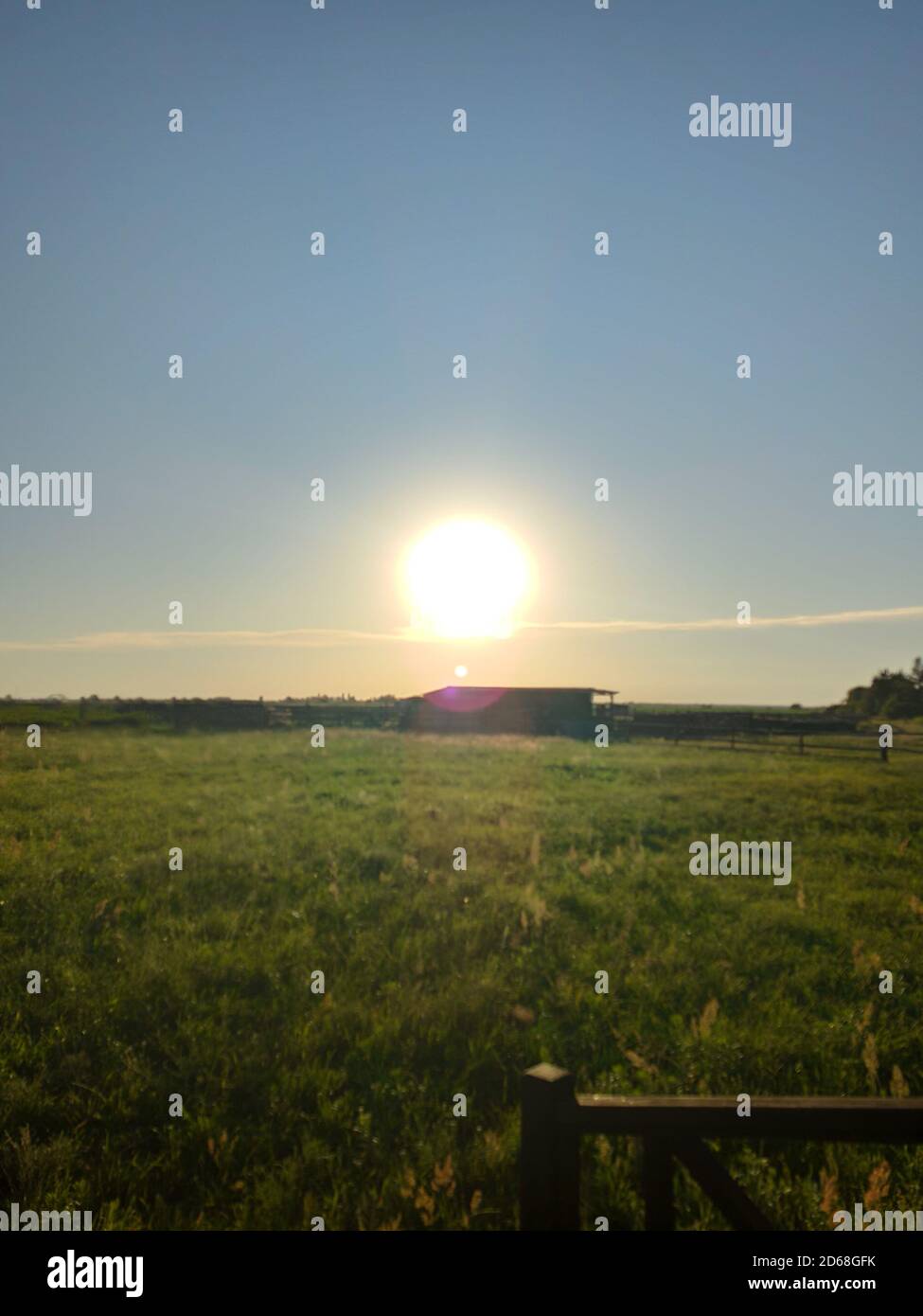 a field on ranch at sunset with green grass Stock Photo - Alamy