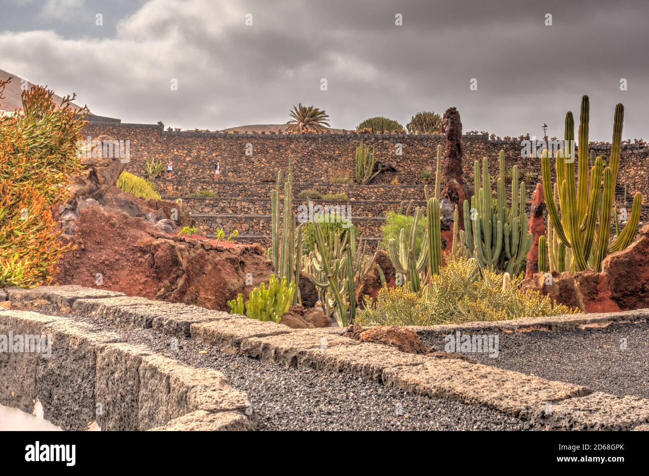Garden cactus manrique plant botanic hi-res stock photography and ...