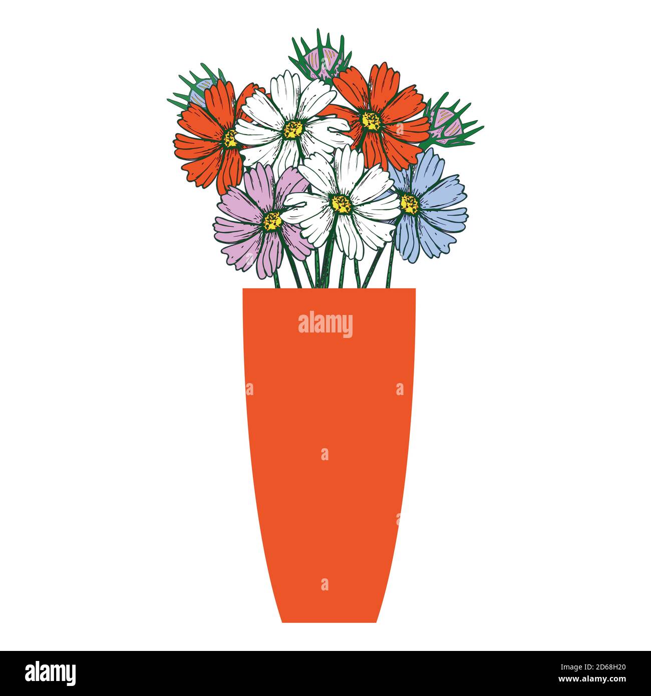 Beautiful cosmea flowers in garden Stock Vector Images - Alamy