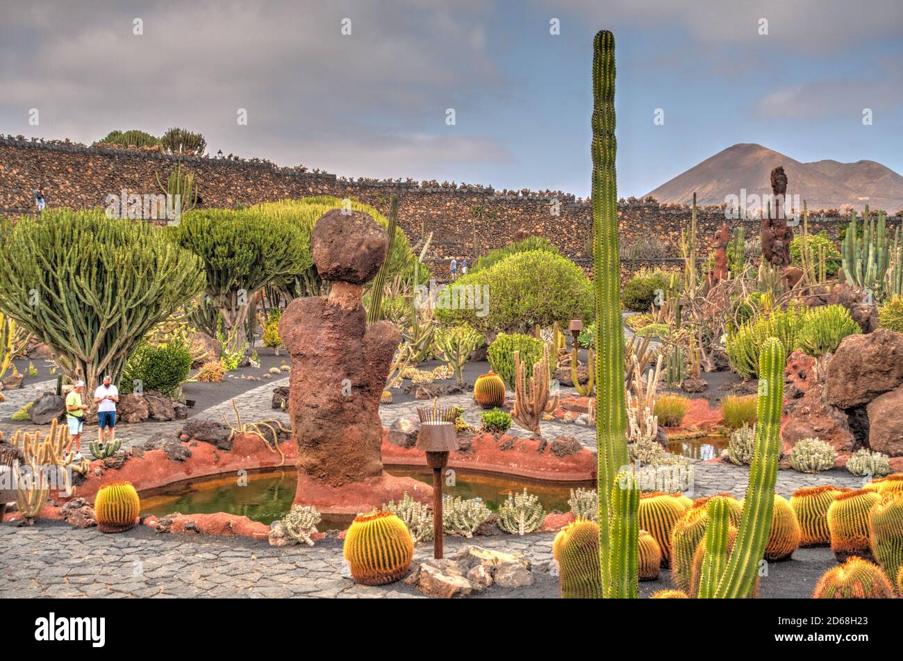 Cactus Garden in Lanzarote Stock Photo - Alamy