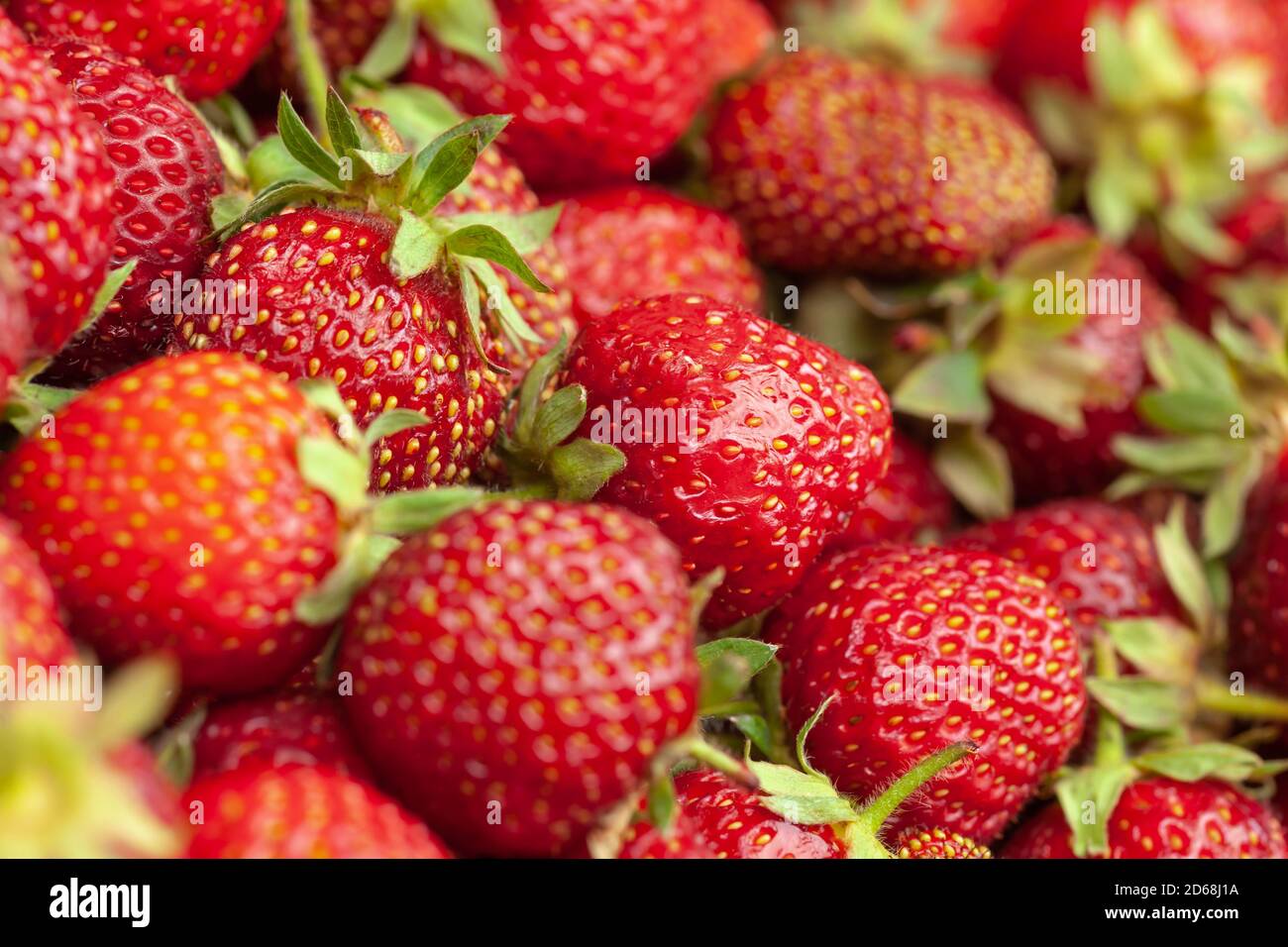 Photo of strawberry hi-res stock photography and images - Alamy