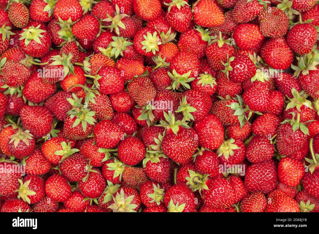 Group of strawberry hi-res stock photography and images - Alamy