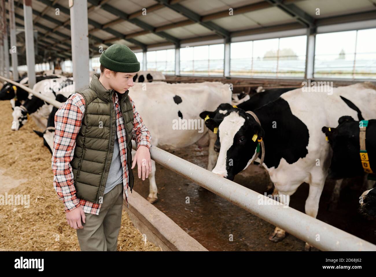 Curious teenage boy in khaki hat leaning on railing of stall and ...