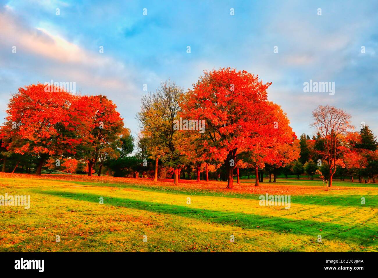 Beautiful sunshine on fall foliage hi-res stock photography and images ...