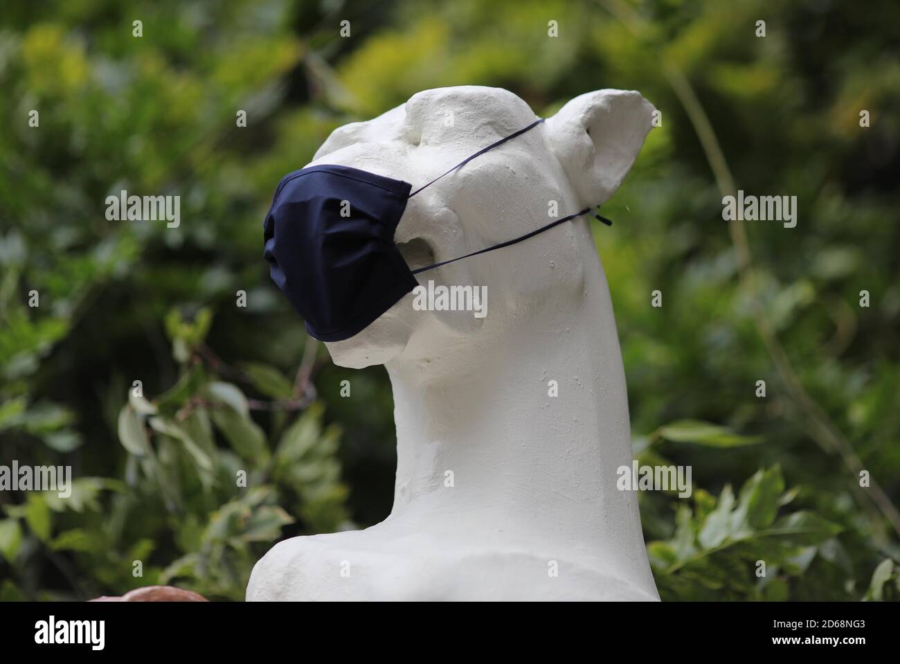 A face mask on a statue outside St Ermin's Hotel in London, after Prime ...