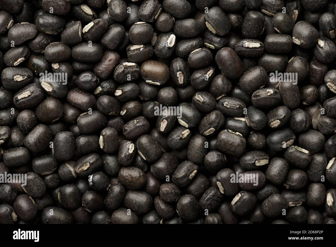 Black Gram High Resolution Stock Photography and Images - Alamy