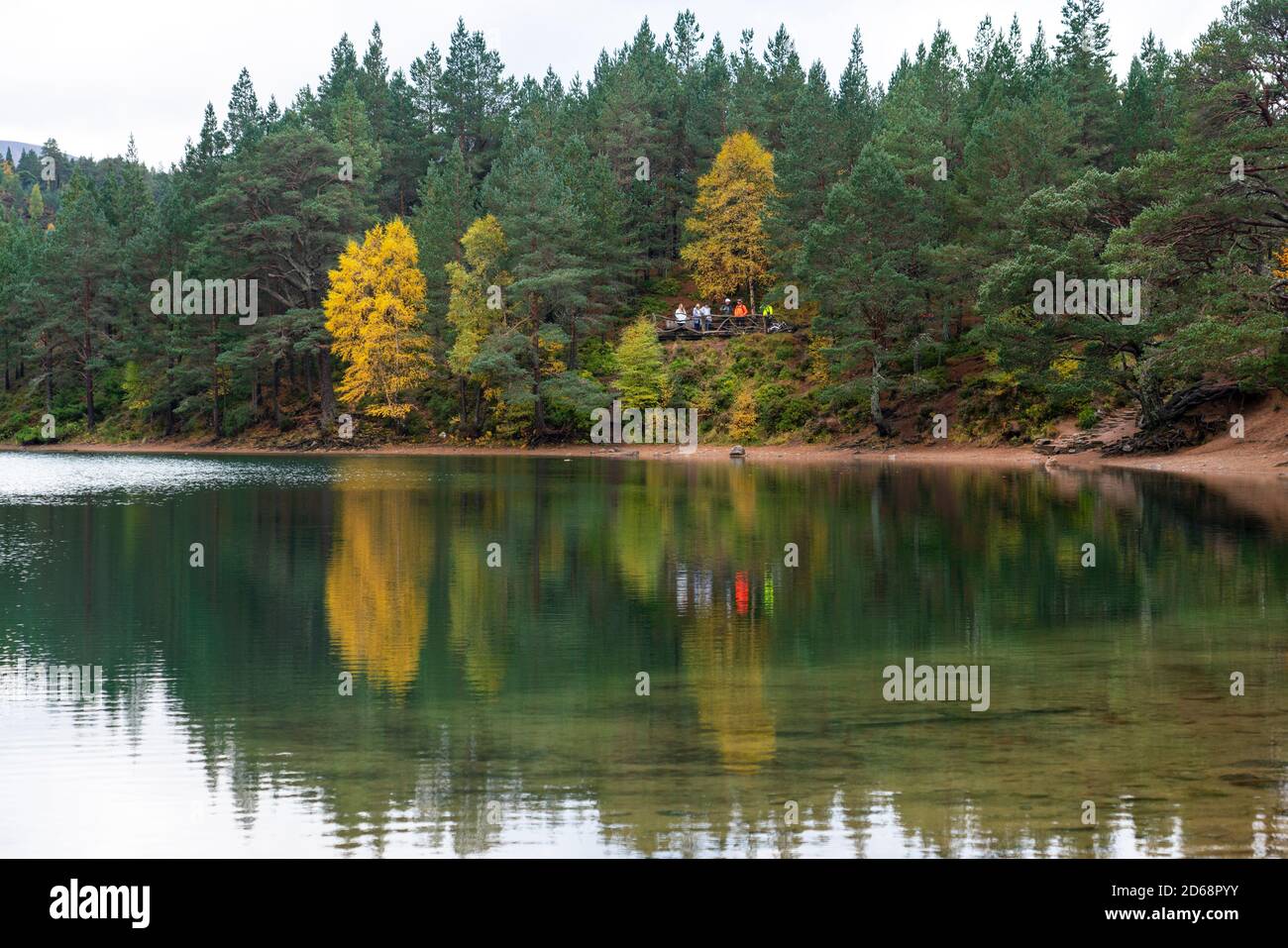 Autumn view An Lochan Uaine more commonly known as the Green Loch due ...