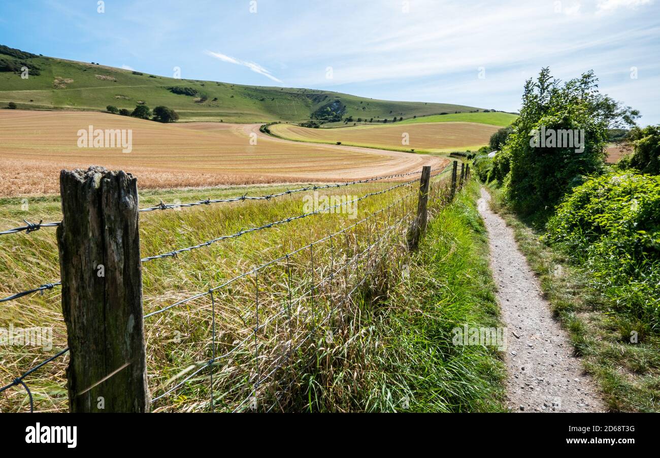 English summer countryside hi-res stock photography and images - Alamy