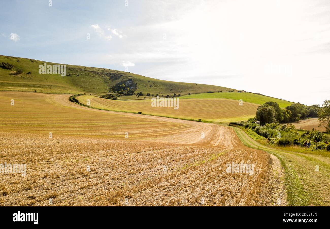 The Long Man of Wilmington and the South Downs, England. A summer view ...