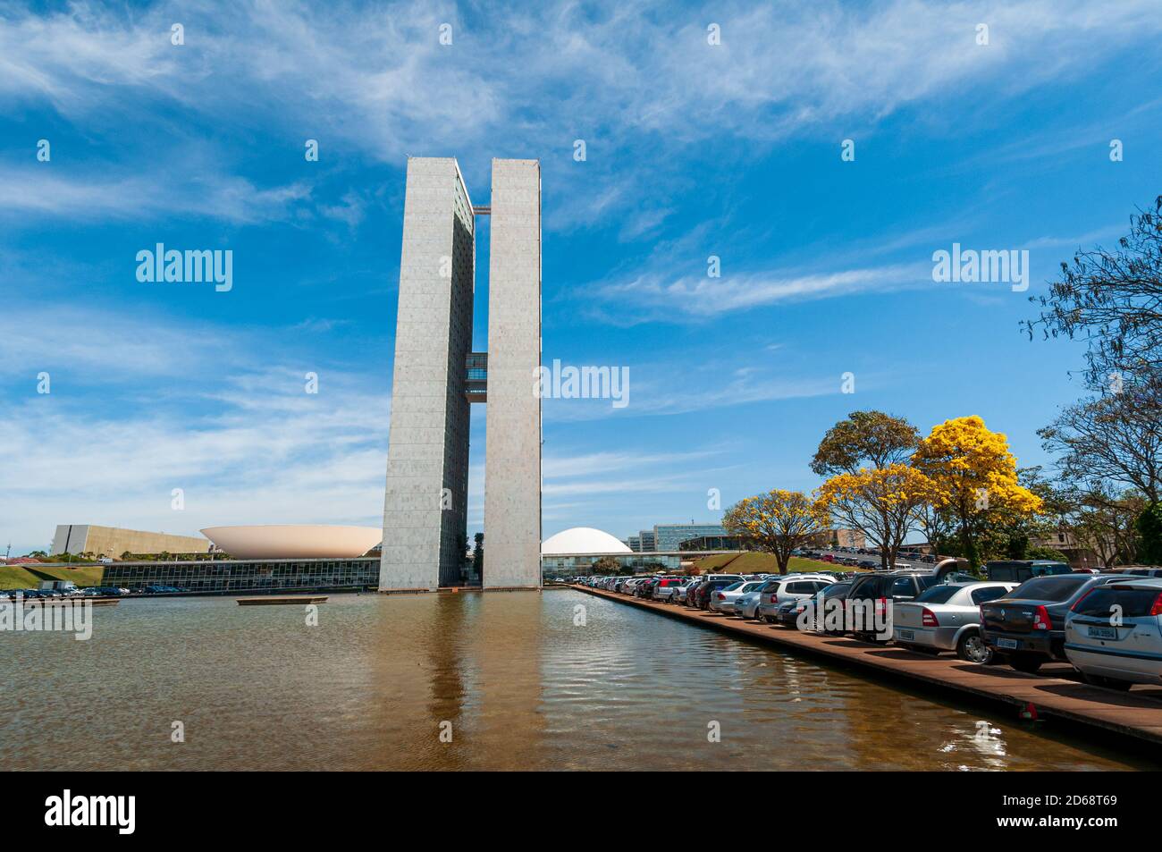 Ipe of brazil national flower hi-res stock photography and images - Alamy