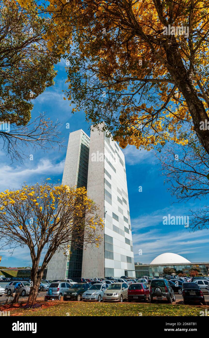 Ipe of brazil national flower hi-res stock photography and images - Alamy