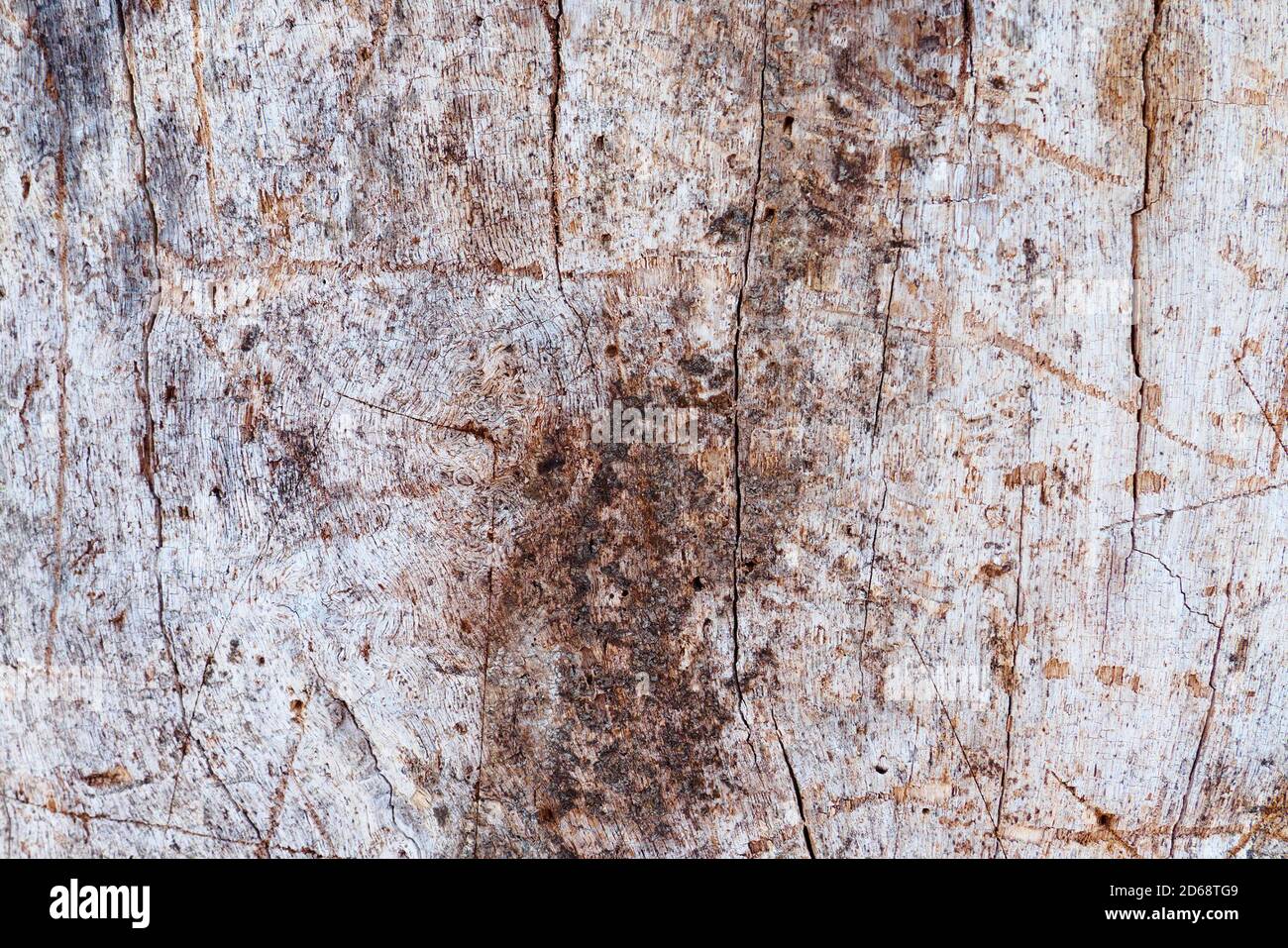 Rough wooden texture hi-res stock photography and images - Alamy
