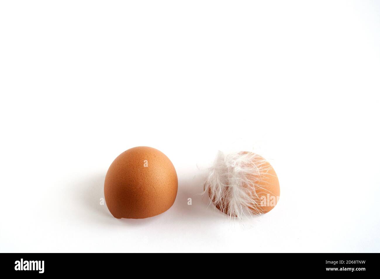 eggshell with feather on white background Stock Photo - Alamy