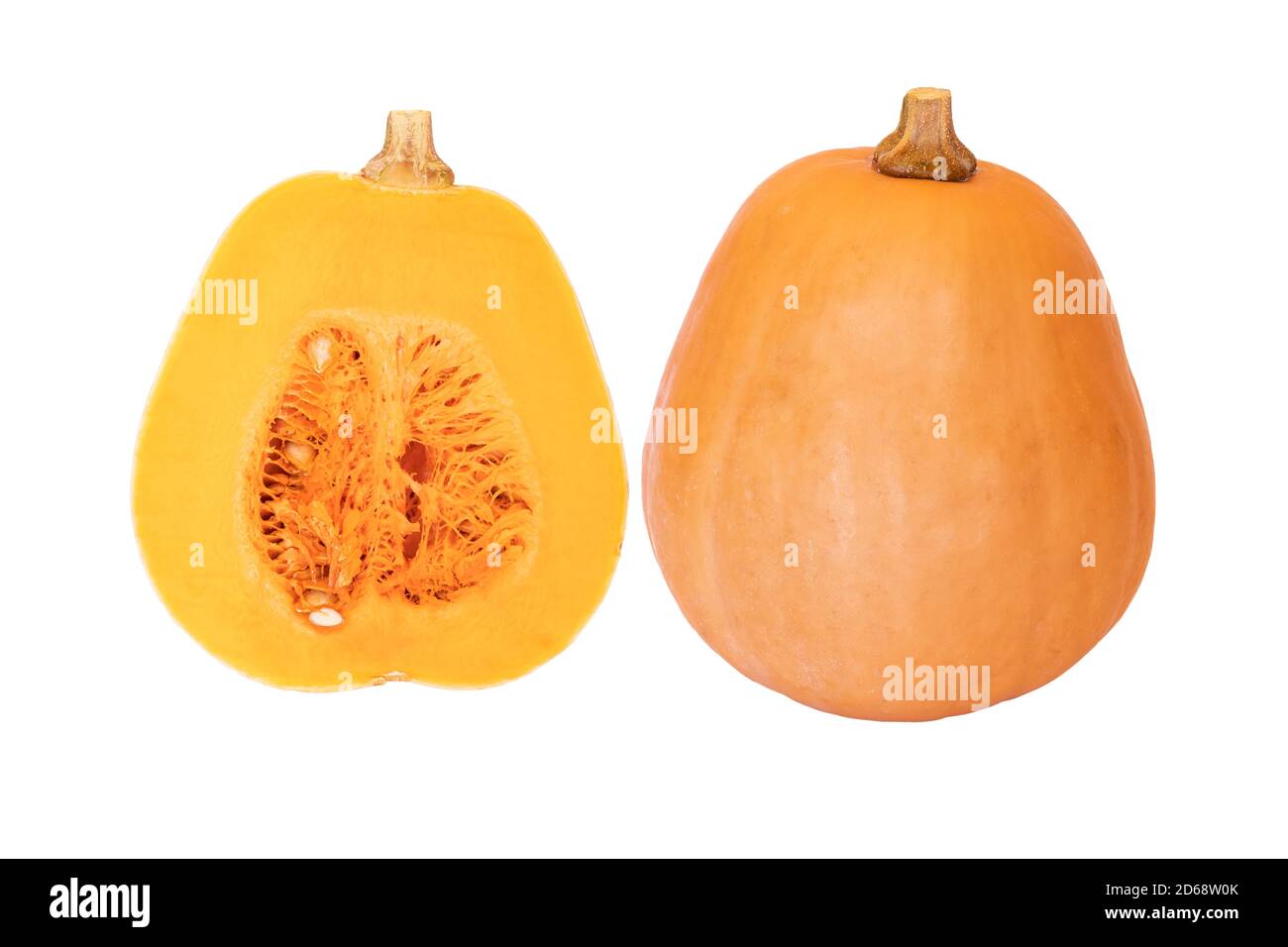 Butternut squash isolated on white background Stock Photo - Alamy