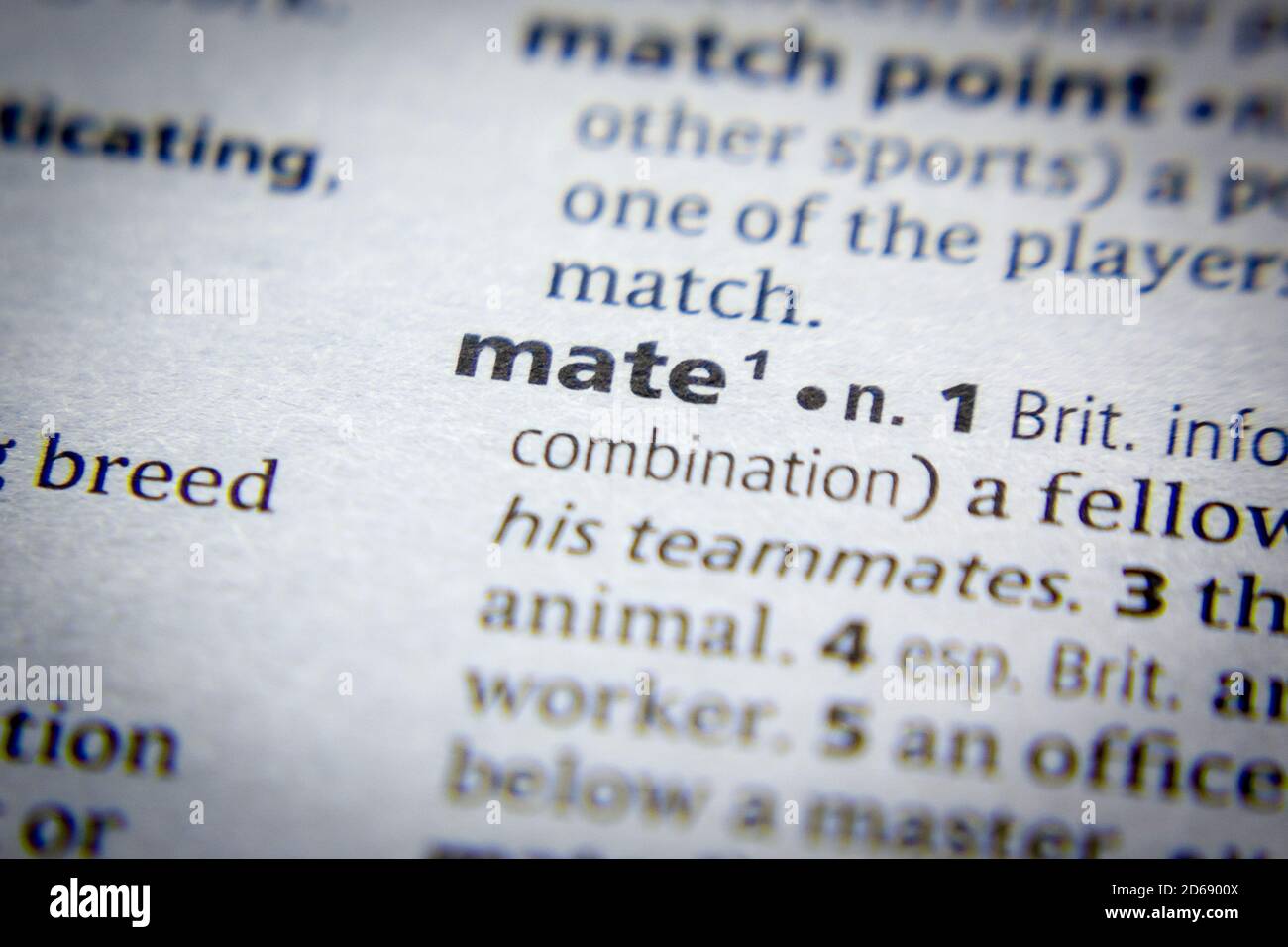 Word or phrase Mate in a dictionary Stock Photo - Alamy
