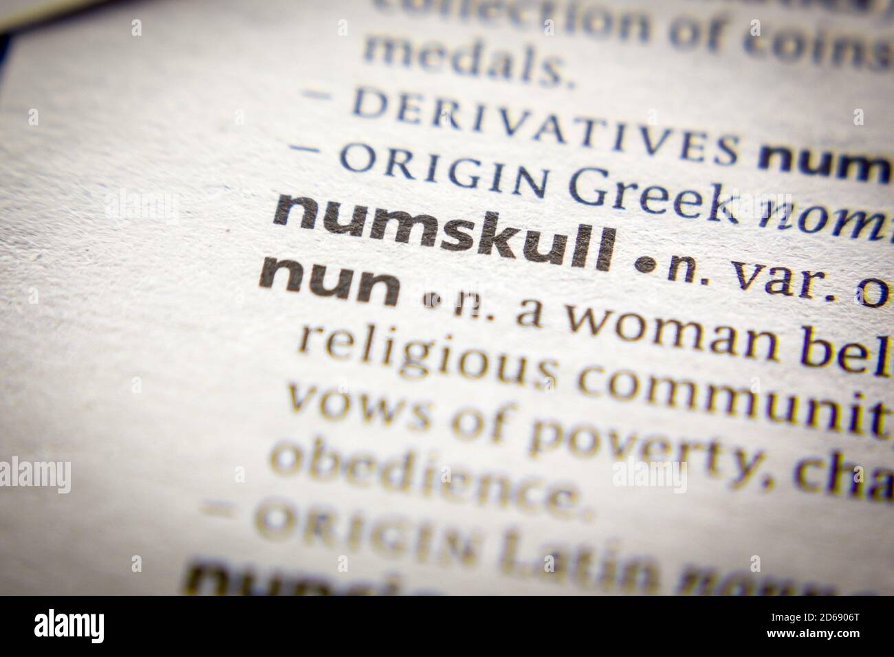 Numskull hi-res stock photography and images - Alamy