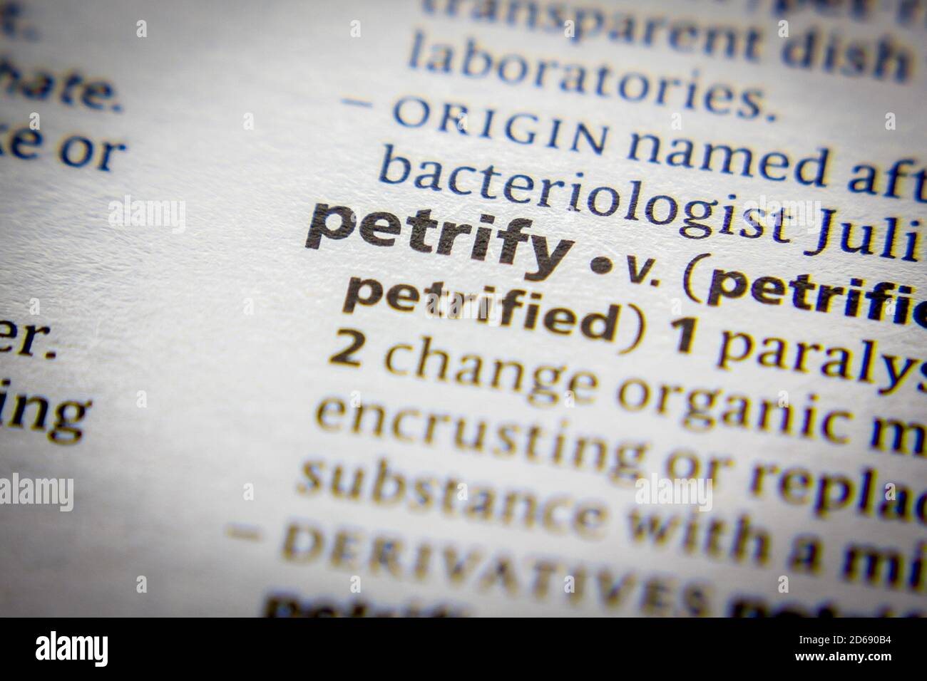 Petrify hi-res stock photography and images - Alamy