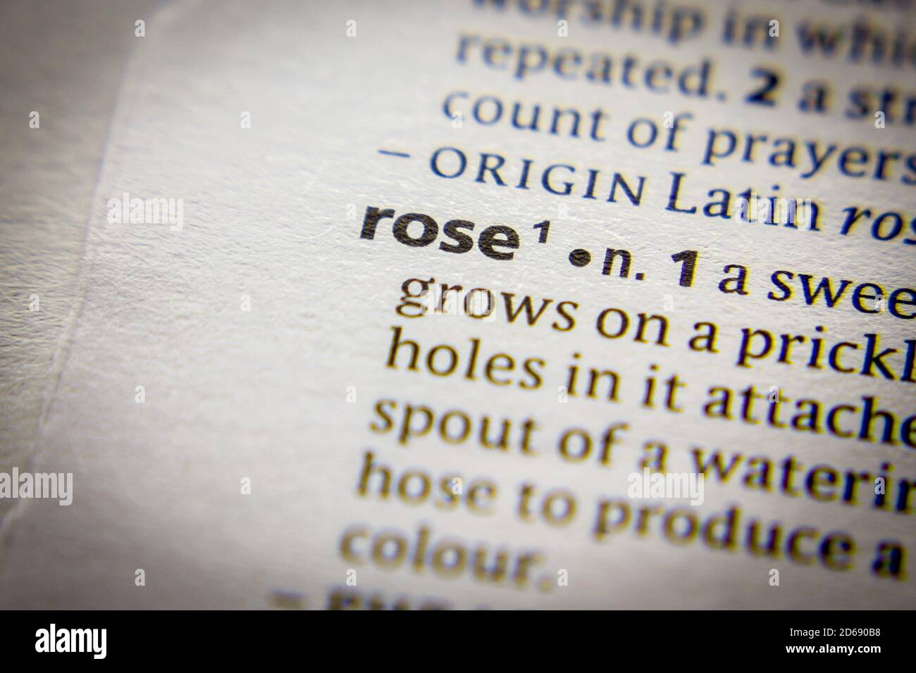 Magnifying glass a rose hi-res stock photography and images - Alamy