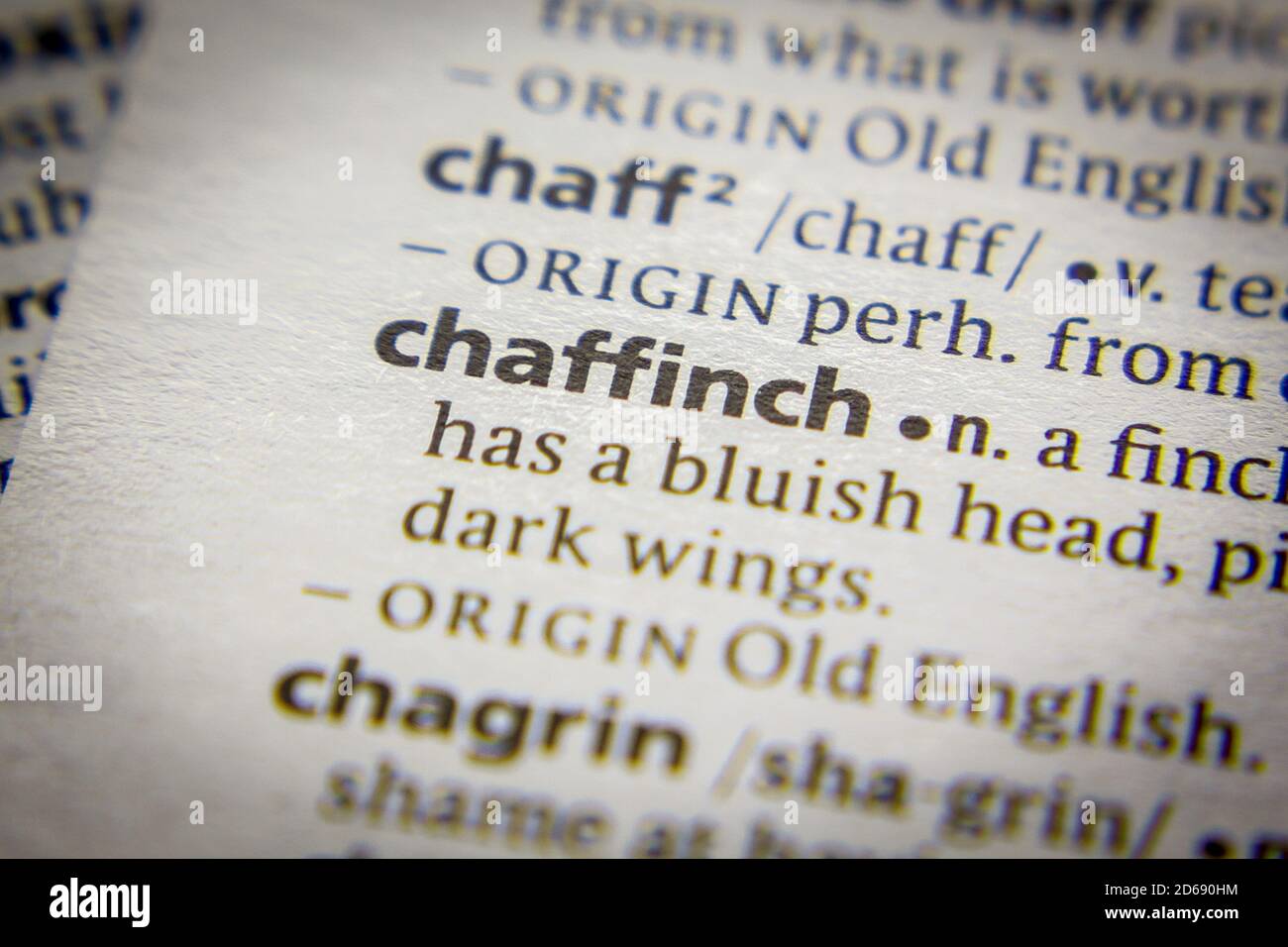 Meaning chaffinch hi-res stock photography and images - Alamy