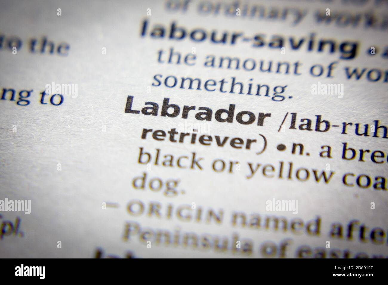 Word or phrase Labrador in a dictionary Stock Photo - Alamy