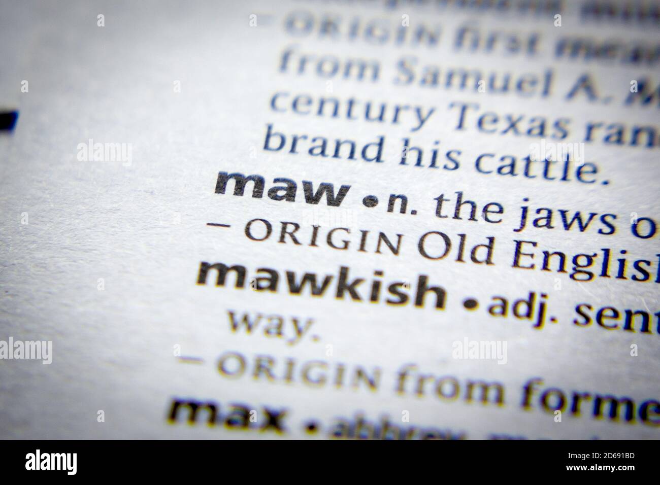 Word or phrase Maw in a dictionary Stock Photo - Alamy