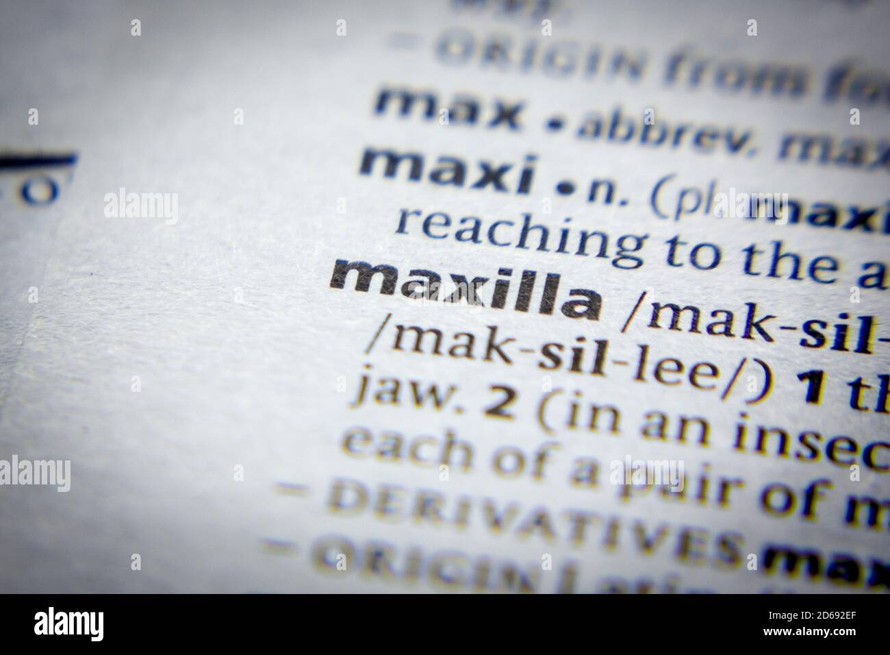 Word or phrase Maxilla in a dictionary Stock Photo - Alamy