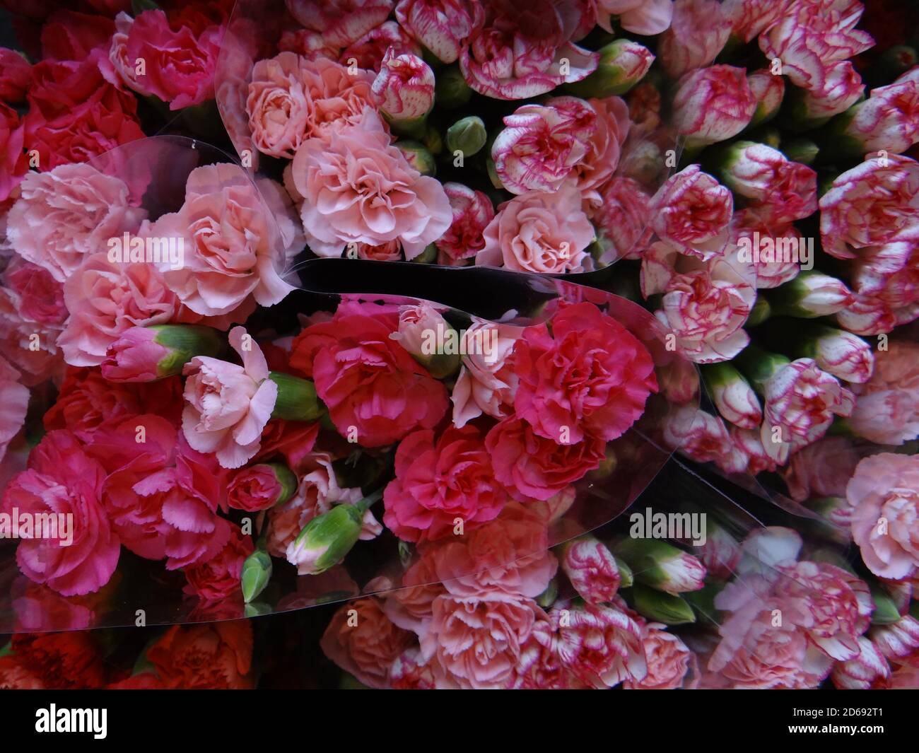 Top view of beautiful and fresh flower bouquets in the flower shop ...